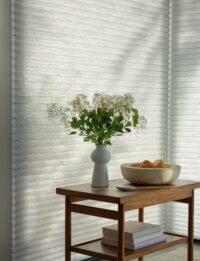 Hunter Douglas Window Treatments | MannKidwell